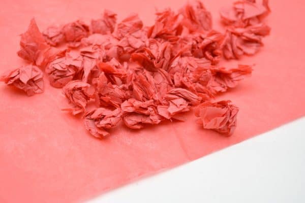 Rainbow Canvas Tissue Paper Craft for Kids