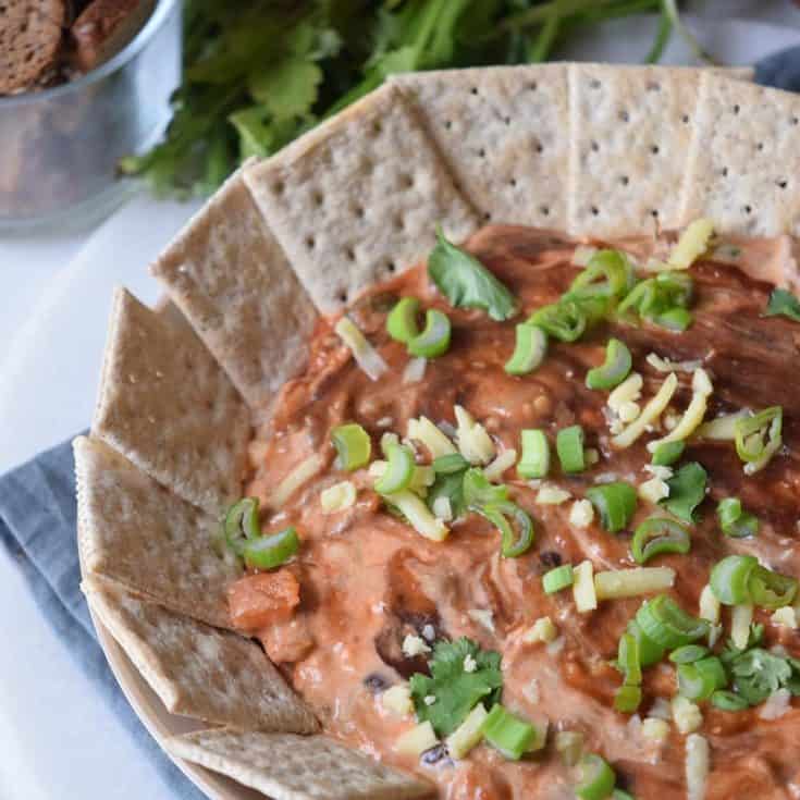 Easy BBQ Chicken Dip Recipe