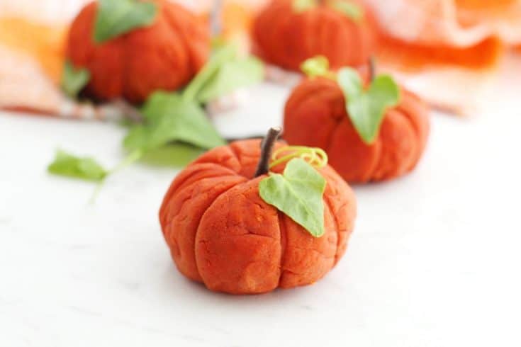 Taste-Safe Pumpkin Spice Playdough Recipe