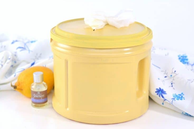 DIY Cleaning Wipes (with Printable Instructions)