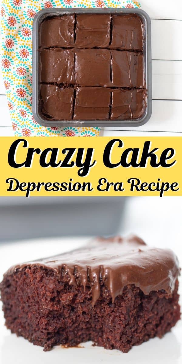 Crazy Cake Recipe (aka Wacky Cake) - No Eggs, Milk, or Butter!