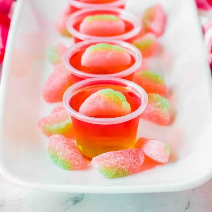 Watermelon Vodka Jello Shots