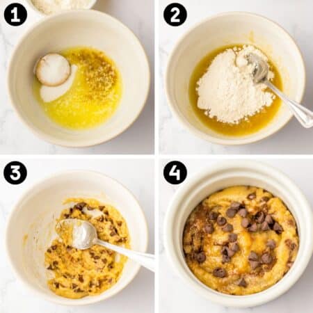 Microwave Chocolate Chip Cookie Recipe