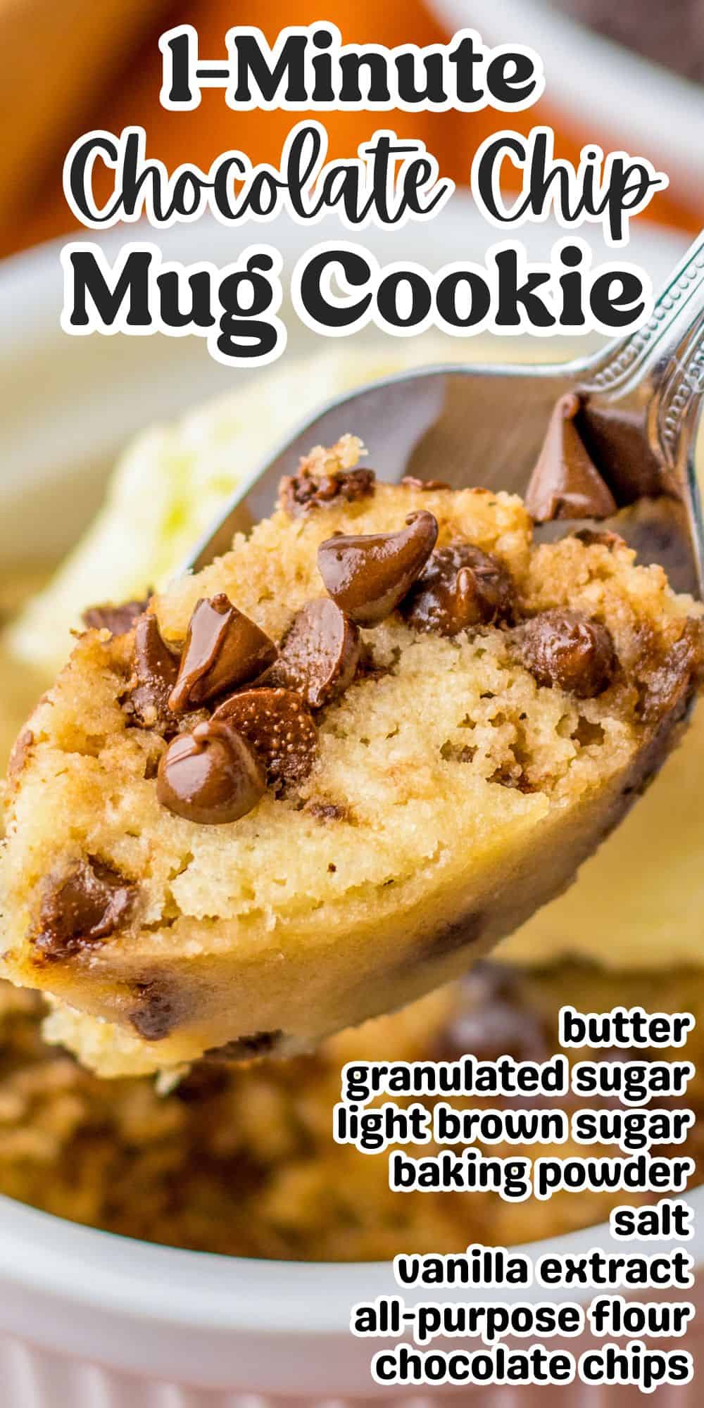 Microwave Chocolate Chip Cookie Recipe