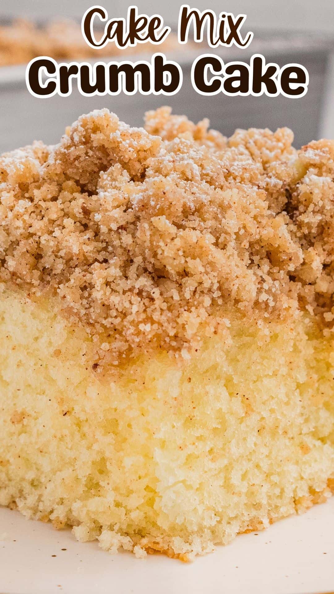 Crumb Cake with Cake Mix (Easy Shortcut Recipe!)
