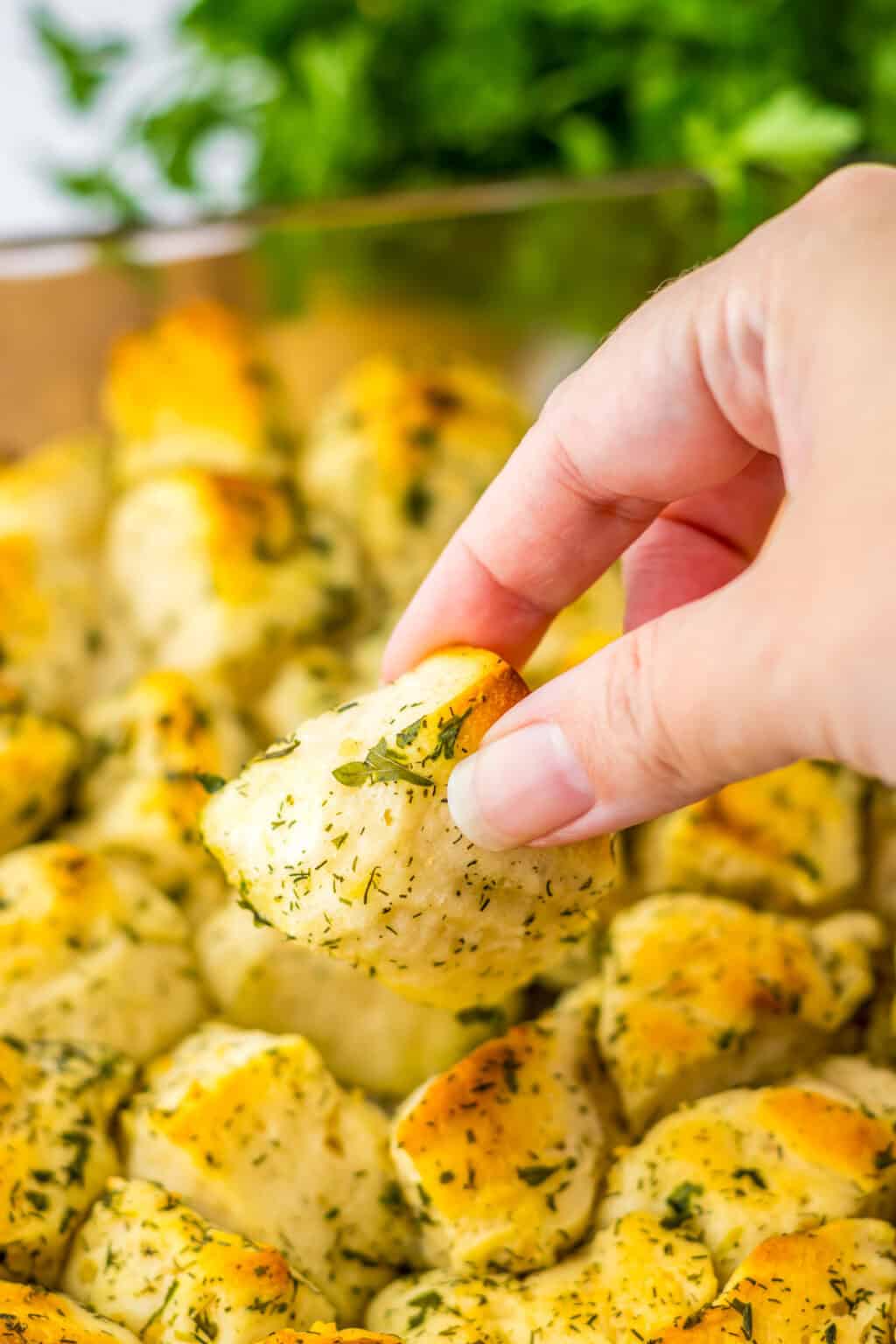Herb Biscuit Pull-Apart Bread