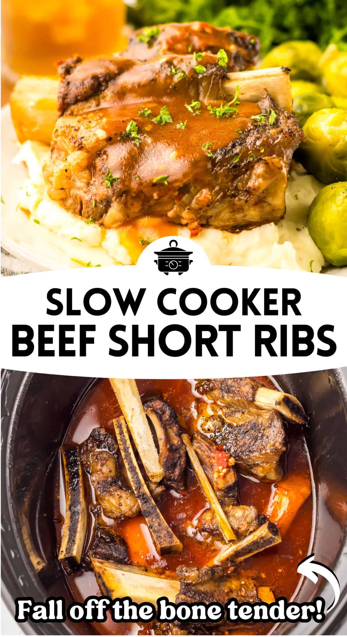 Slow Cooker Beef Short Ribs Recipe