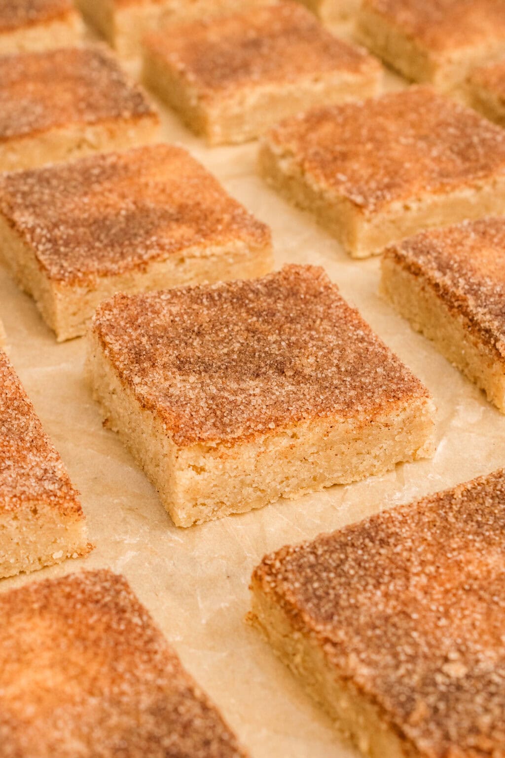 Snickerdoodle Cookie Bars