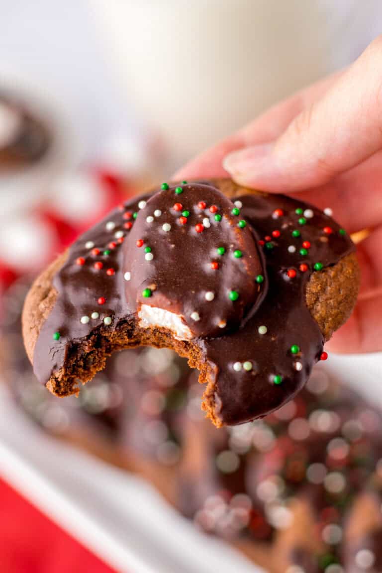 Hot Chocolate Cookies