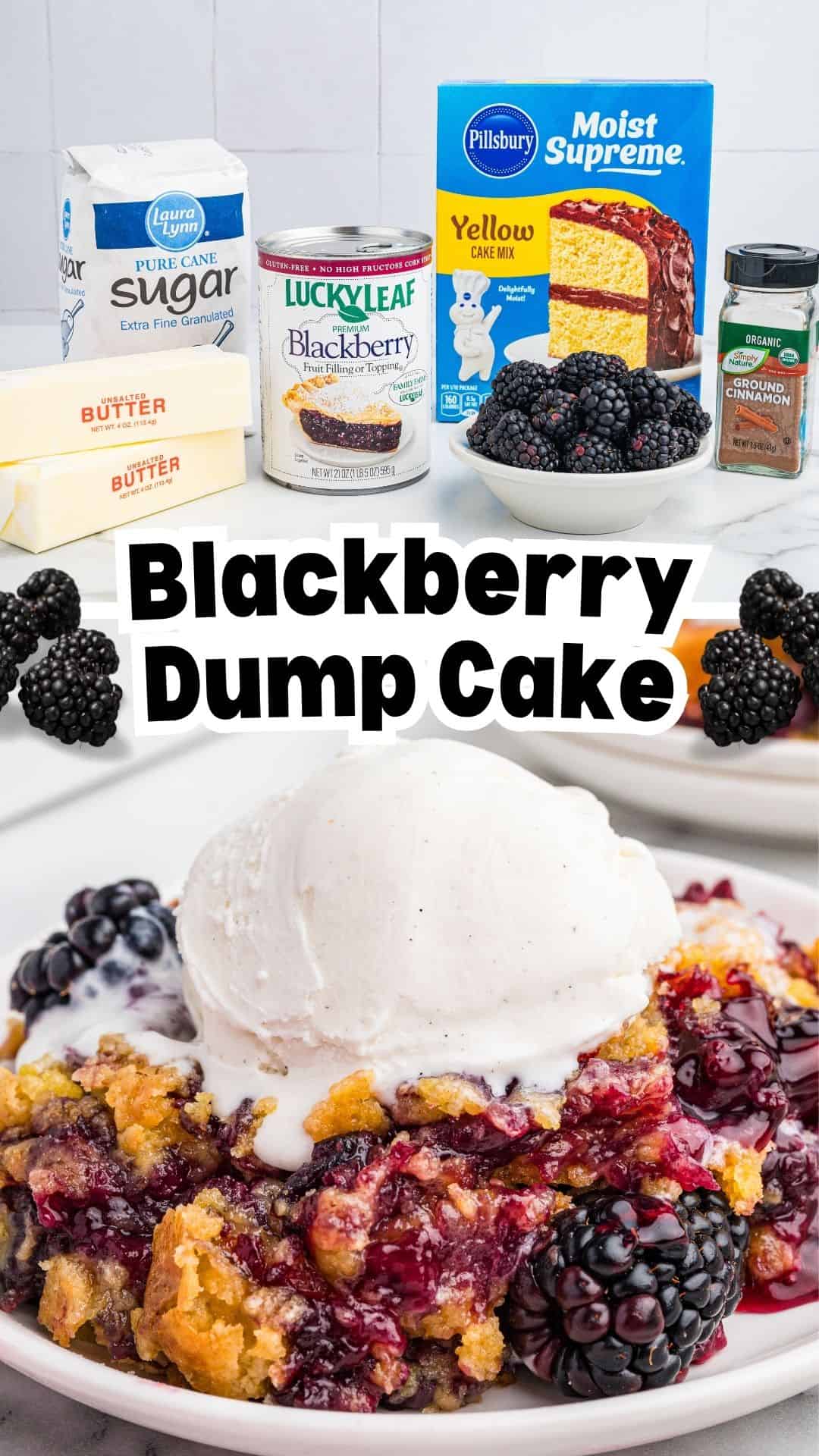 Blackberry Dump Cake