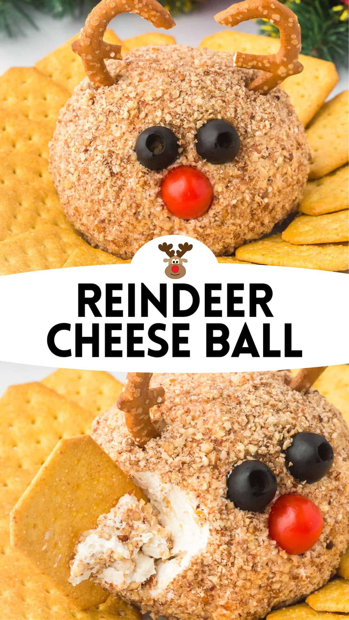 Reindeer Cheese Ball – The Cutest Christmas Appetizer Ever