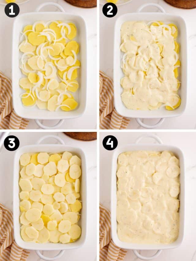 Creamy Scalloped Potatoes Recipe